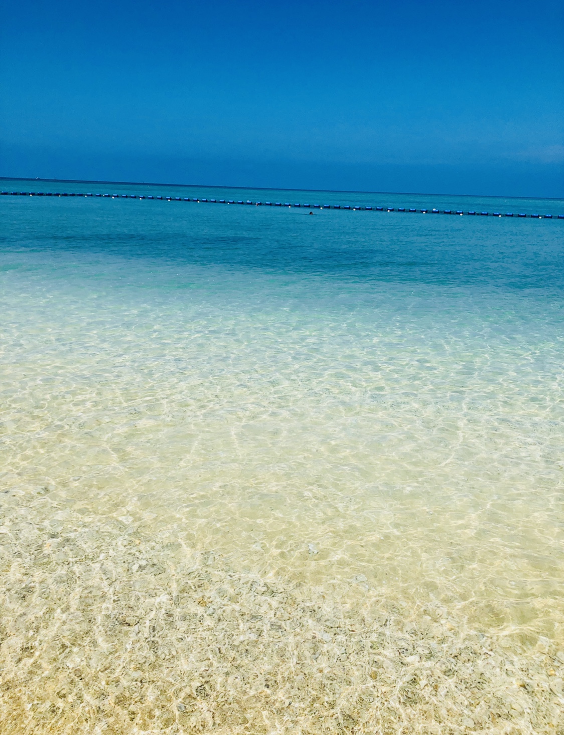 シーサー！！ – 小野市の美容室 Loco.Style